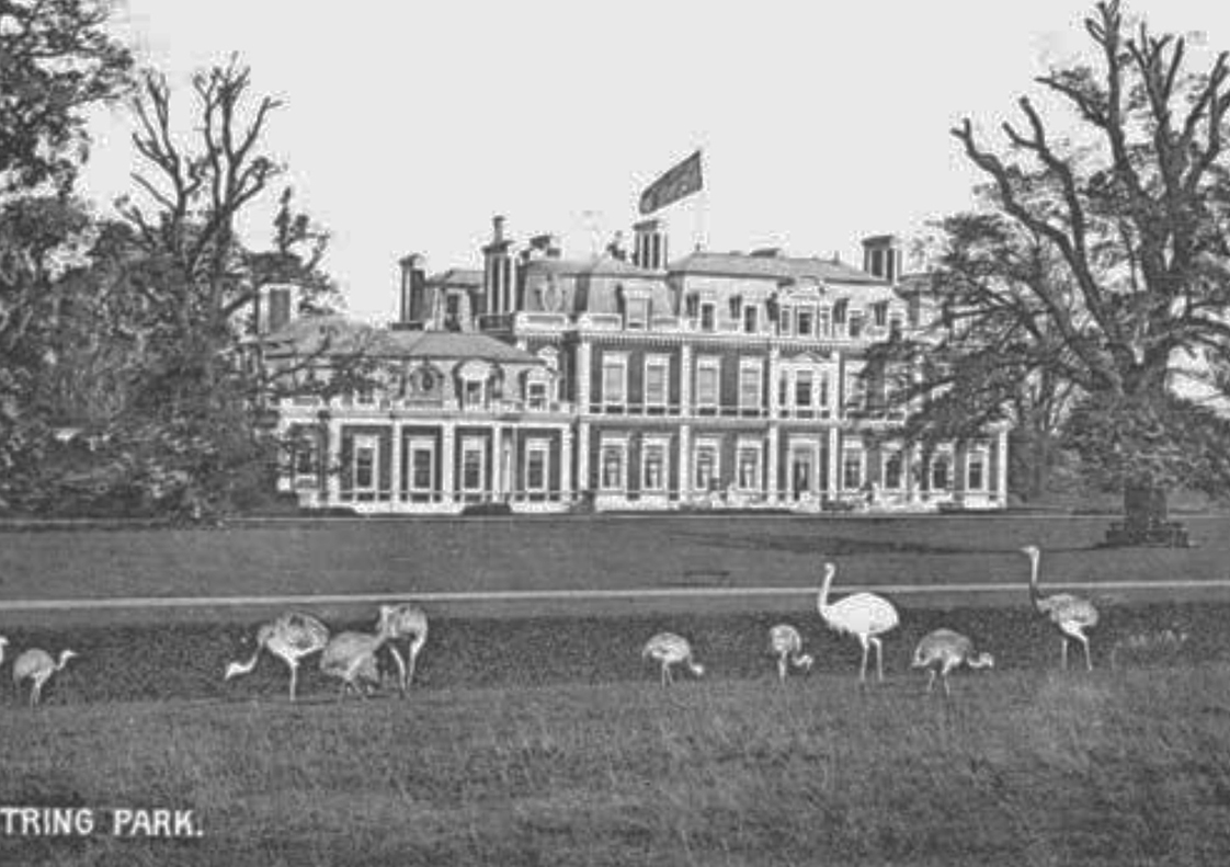 Pannonica Rothschild: La Baronesa del Jazz (1ª Parte) – Los latidos del ...